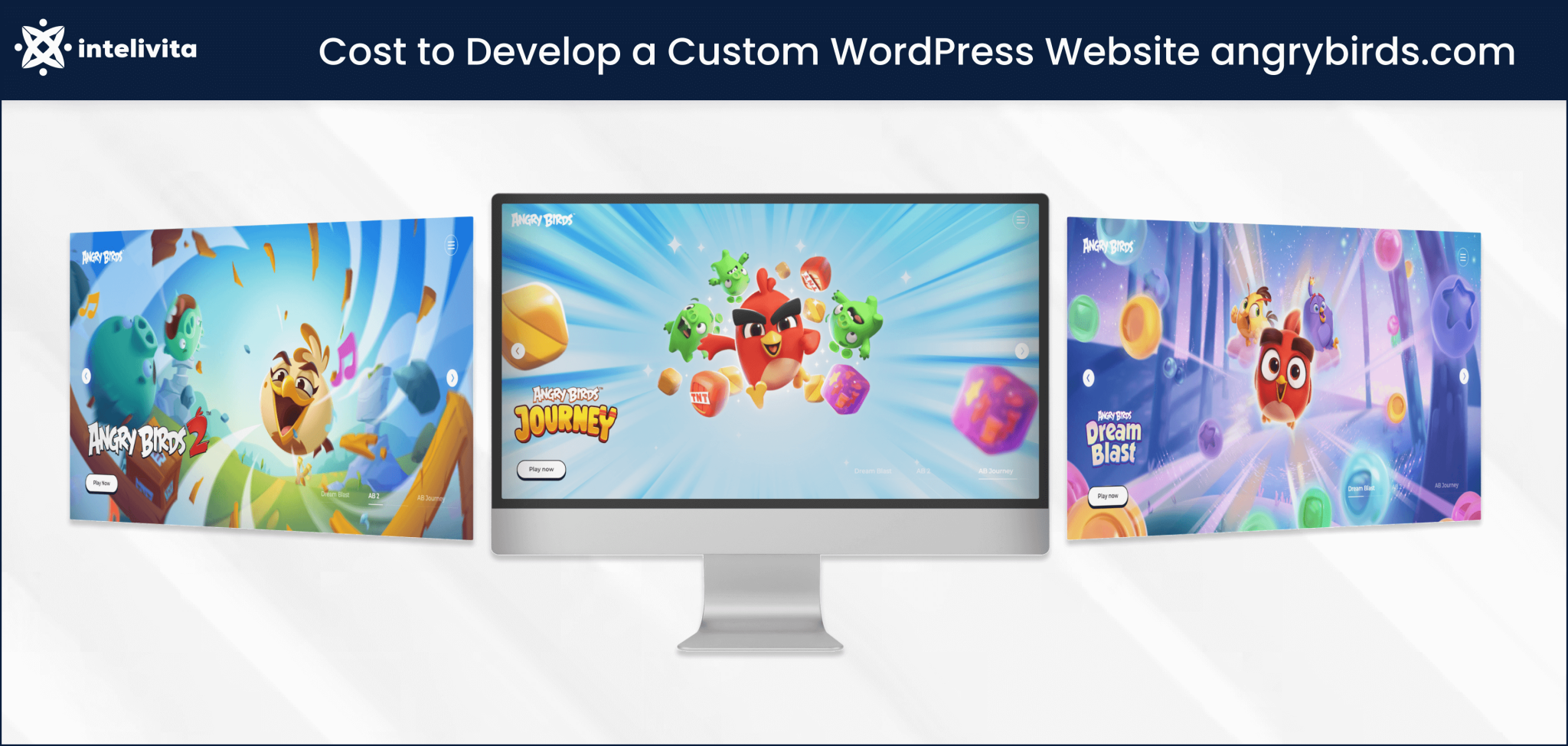 How Much It Cost to Build a Custom WordPress Website?
