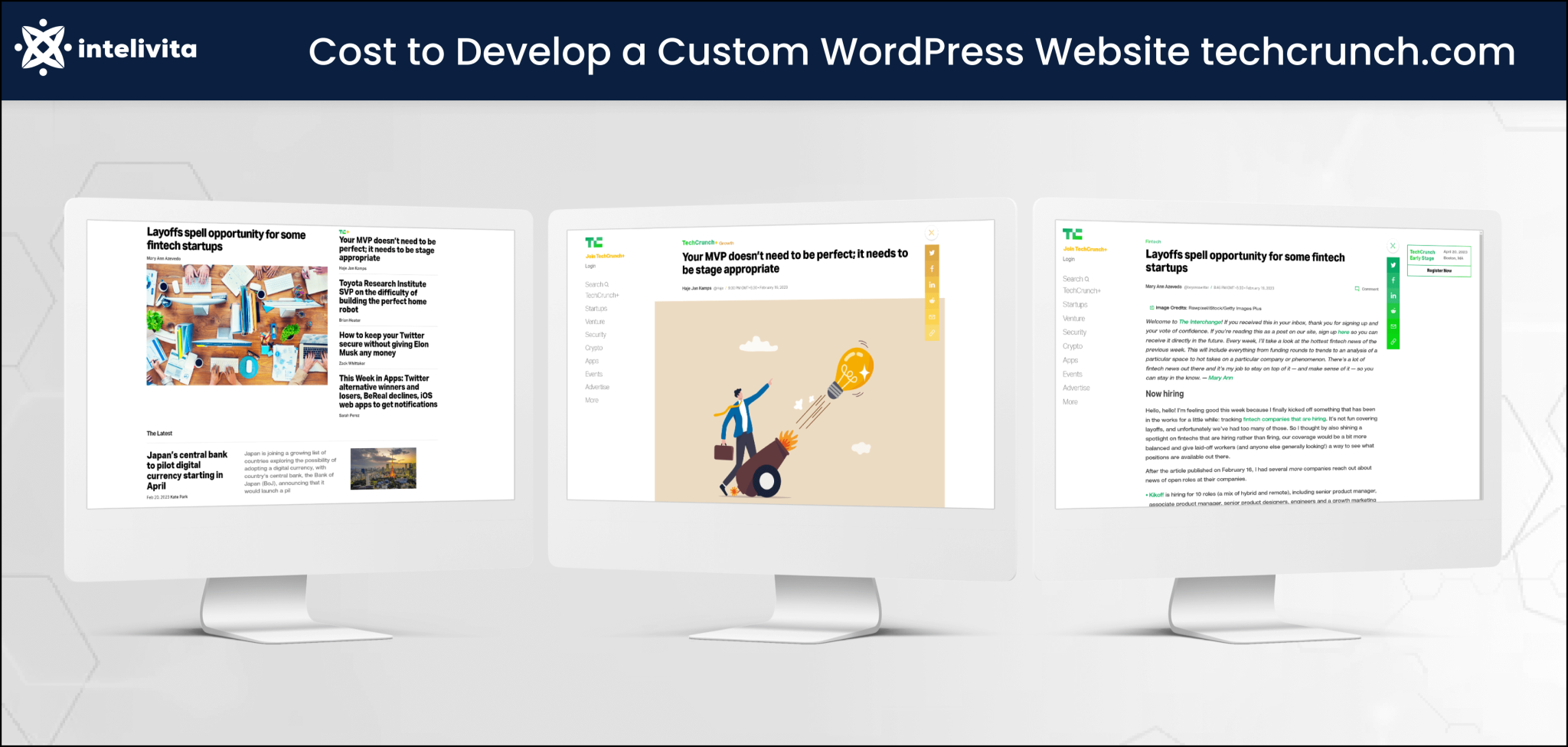 How Much It Cost to Build a Custom WordPress Website?